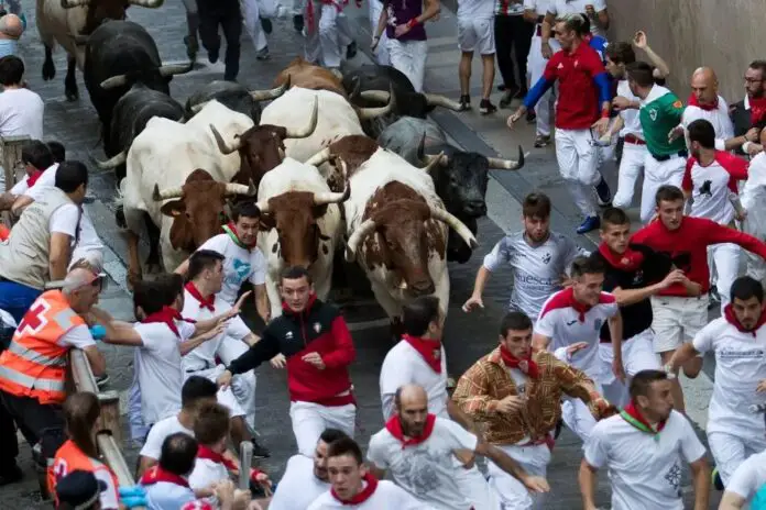 The Famous Spanish Bull Run is Back – No One Killed | Headline Reporter