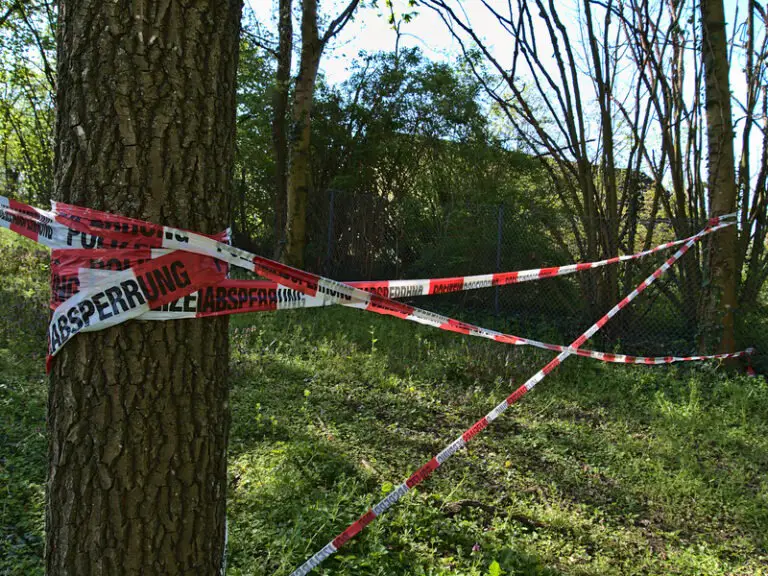 Popular Gymnast Dies After Fall From Mountain | Headline Reporter