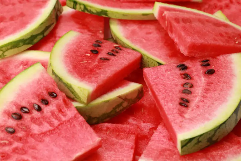 Family of 4 Dead After Eating Watermelon | Headline Reporter